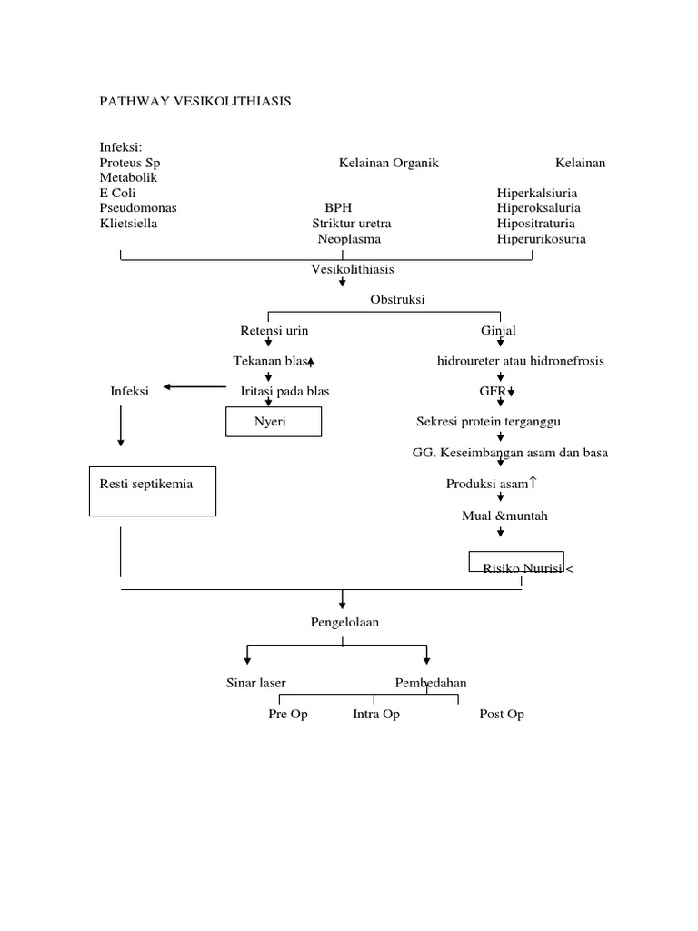 Pathway Vesikolithiasis | PDF