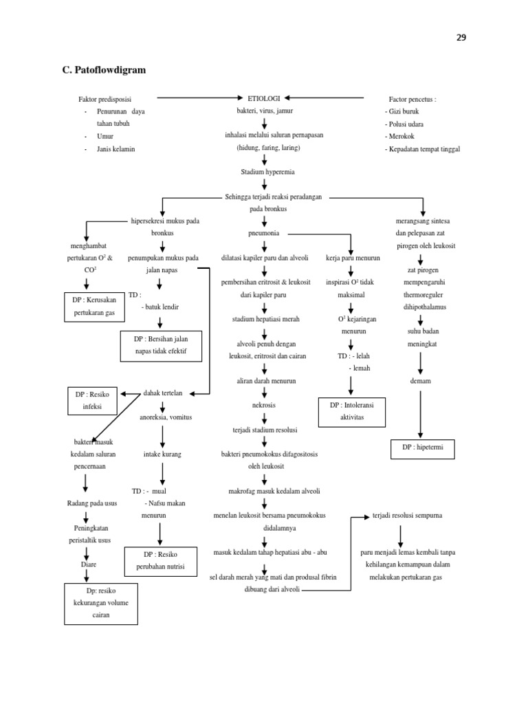 Patoflow Diagram | PDF