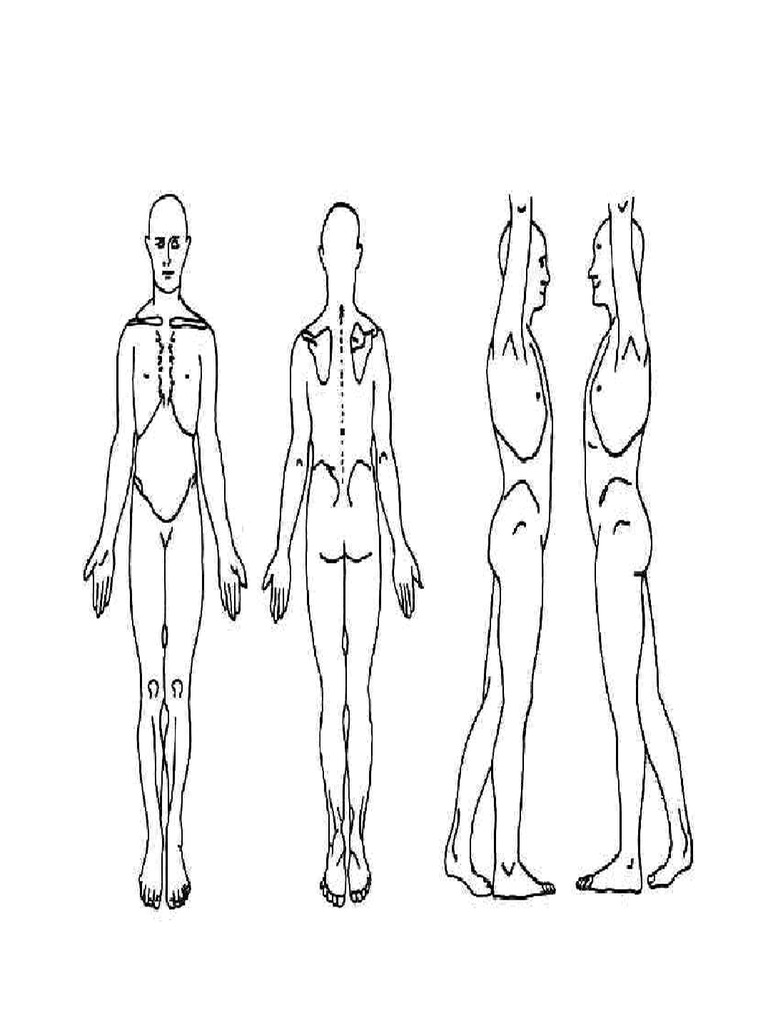 Body Chart | PDF