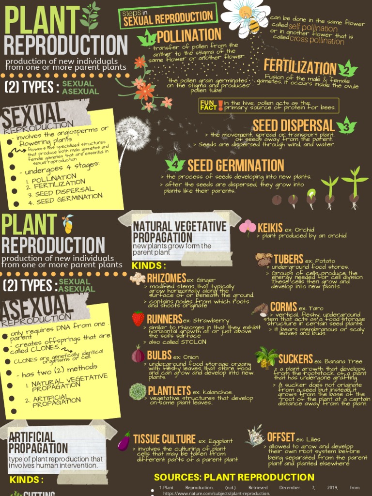 Earthsci Infographic | PDF | Sexual Reproduction | Biological Processes