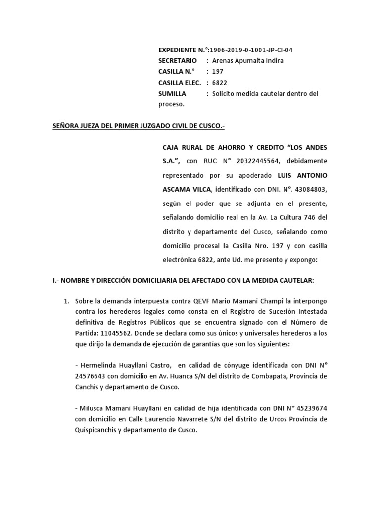 Dentro Del Proceso Mario Mamani Champi | PDF | Mandato | Justicia