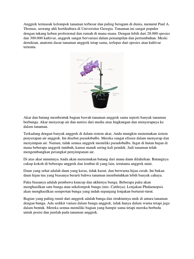 Anatomi Tumbuhan Anggrek | PDF