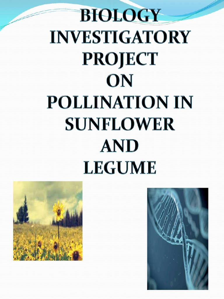 Biology Investigatory Project | PDF | Flowers | Pollination