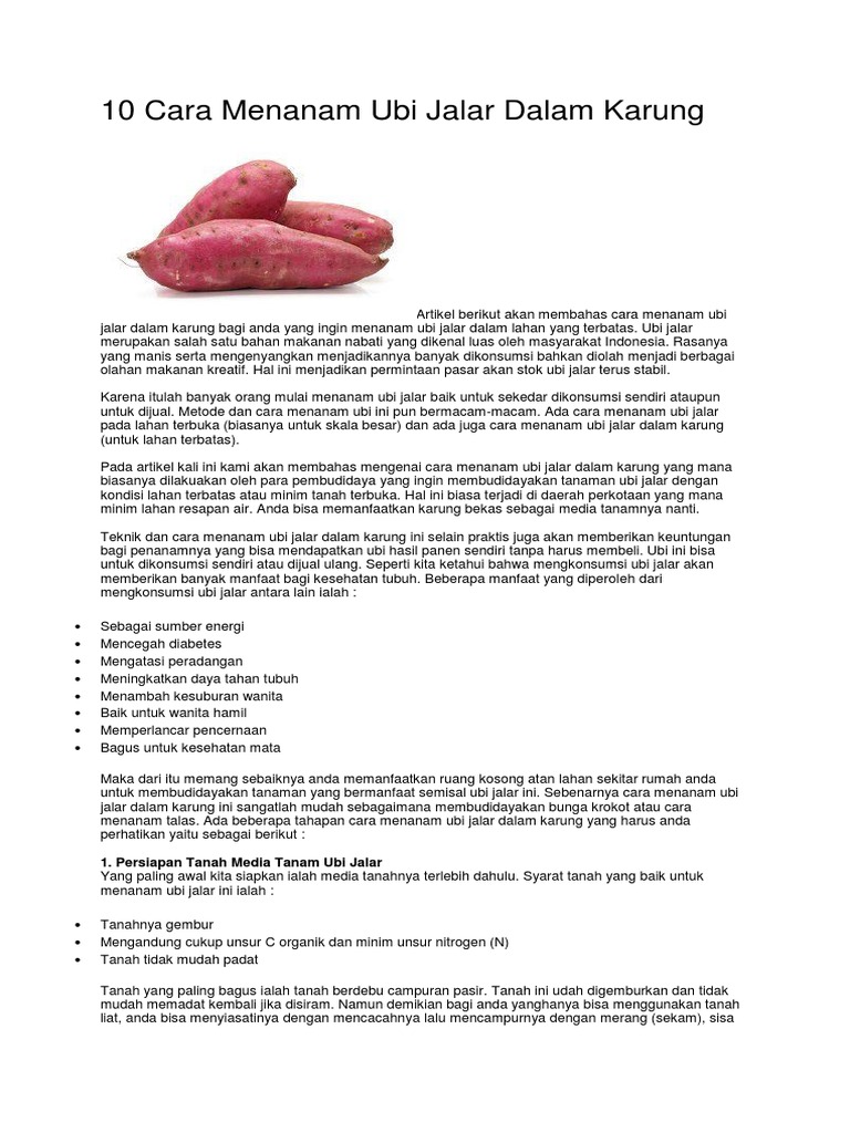 10 Cara Menanam Ubi Jalar Dalam Karung | PDF