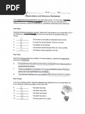 Observations And Inferences Worksheet