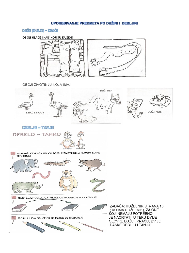 Duzina I Debljina | PDF