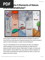 Our Code Our Standards | PDF | Māori People | Demographics Of New Zealand