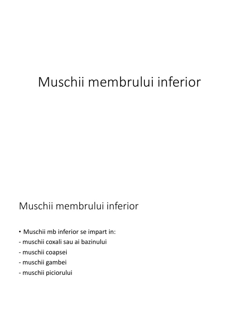 Membrul Inferior MUSCHI | PDF