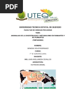 Abomasitis Micotica | PDF | Estómago | Úlcera péptica