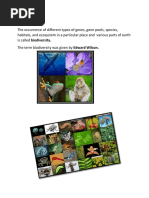 Class 12 Biodiversity Project Report | PDF | Biodiversity ...