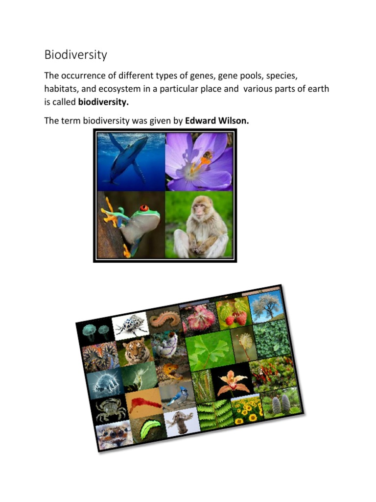 Biodiversity Investigatory Project | PDF | Biodiversity | Conservation ...