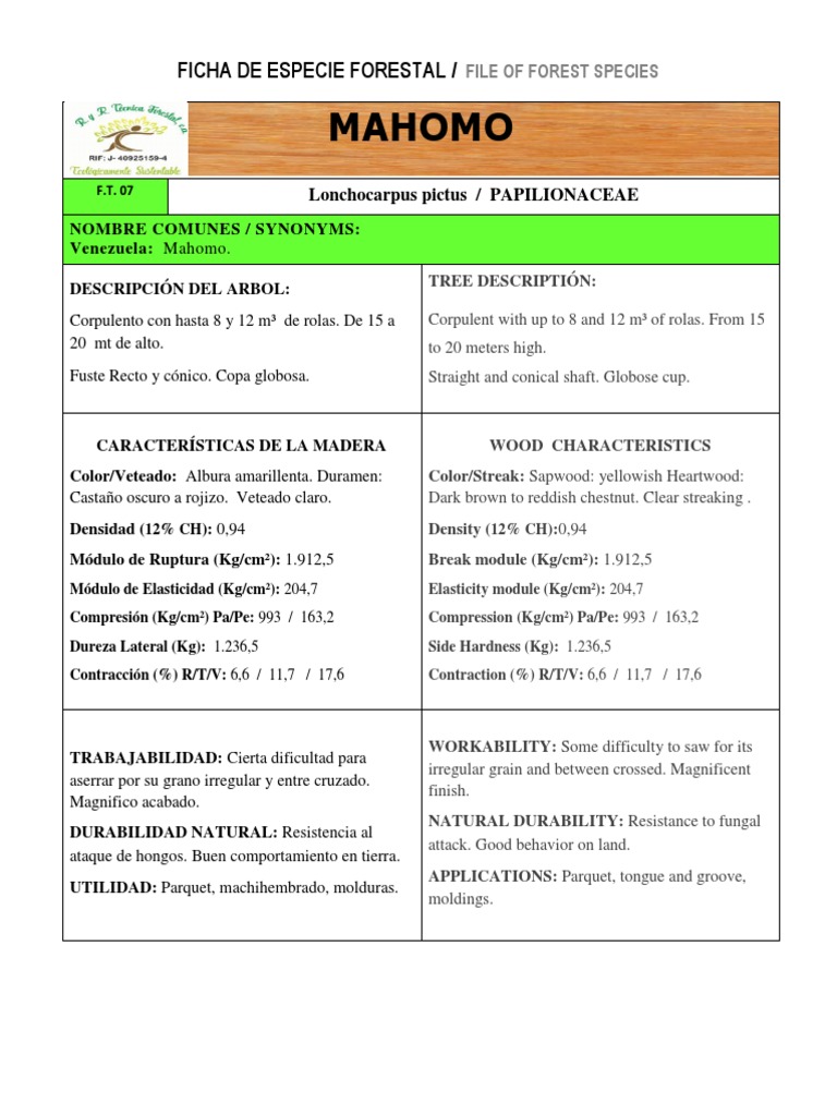 Fichas 7 Mahomo Ryr | PDF