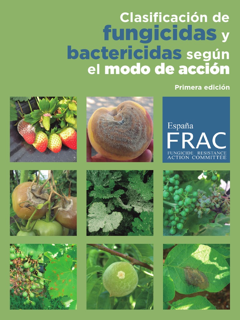 Clasificacion de Insecticidas | PDF | Enzima | Hongo