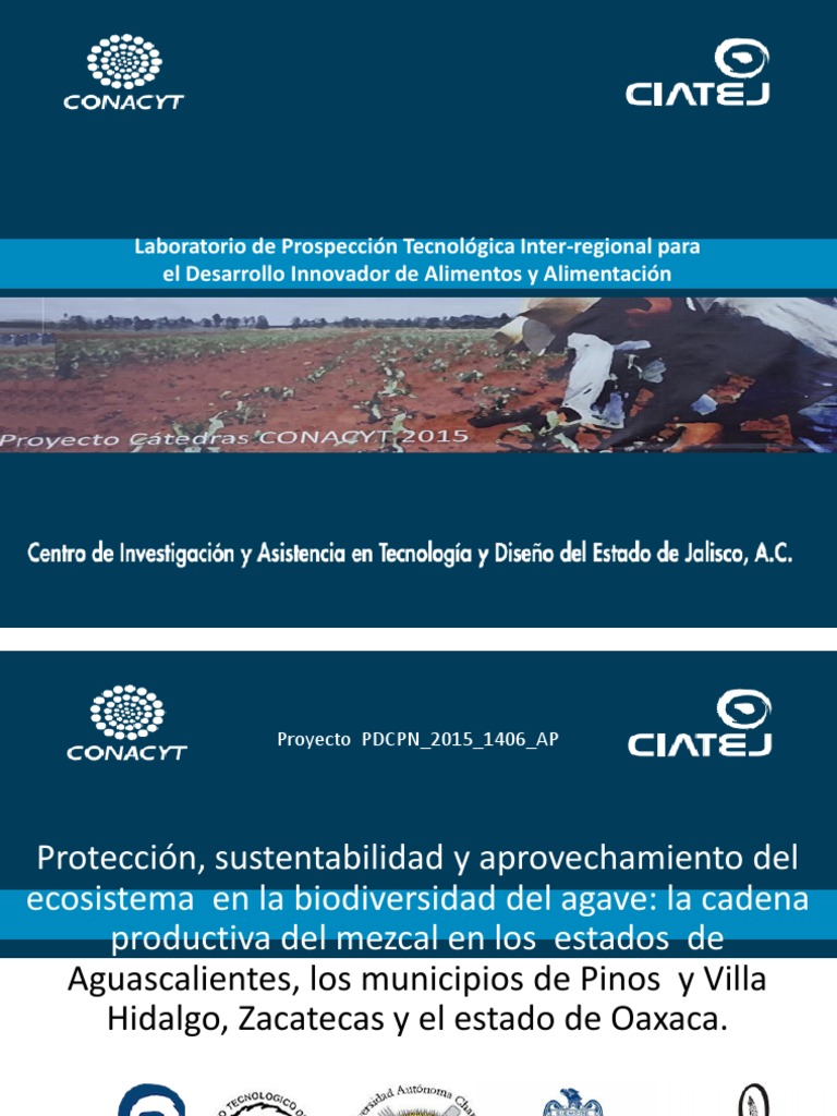 Laboratorio Ciatej PDF | PDF | Sustentabilidad | Innovación