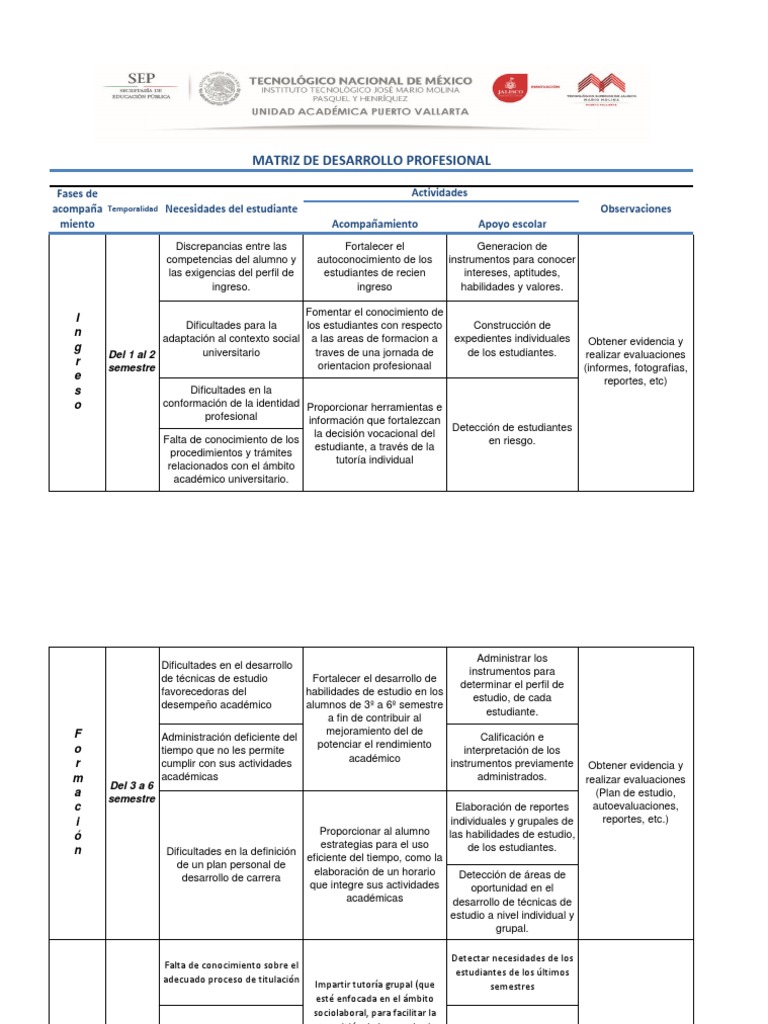 MATRIZ DE DESARROLLO PROFESIONAL | Cognición | Psicología