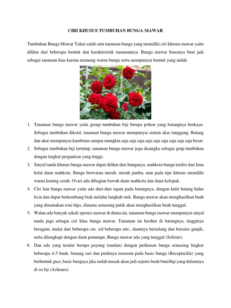 Ciri Khusus Tumbuhan Bunga Mawar | PDF