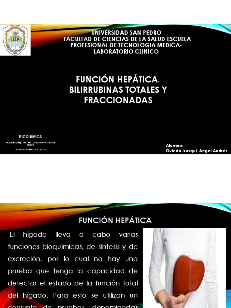 Funcion Hepatica EXPO PDF | PDF | Bioquímica | Química