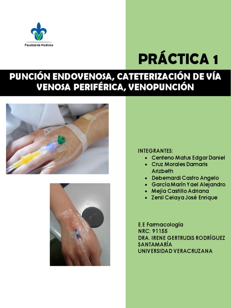Práctica 1. Administración Endovenosa | PDF | Terapia intravenosa ...