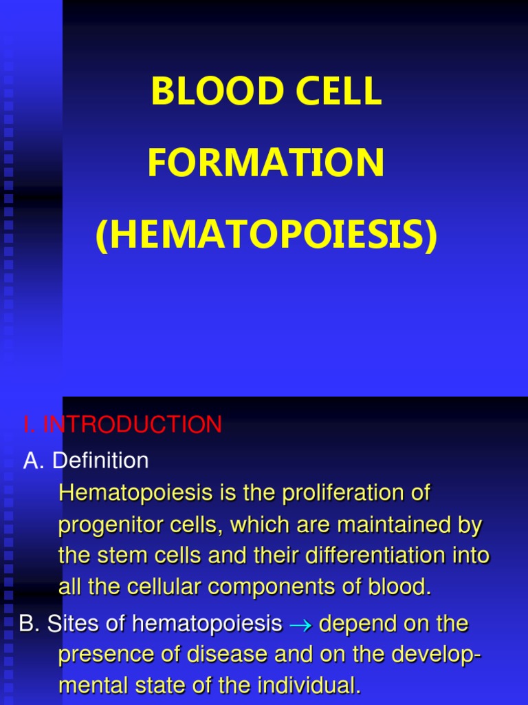 Hematopoiesis-1 | PDF | Haematopoiesis | Bone Marrow