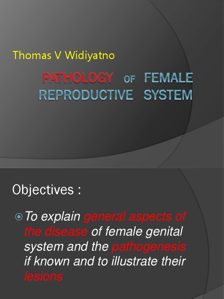 Pathology of Female Reproductive System | PDF | Ovary | Reproductive System