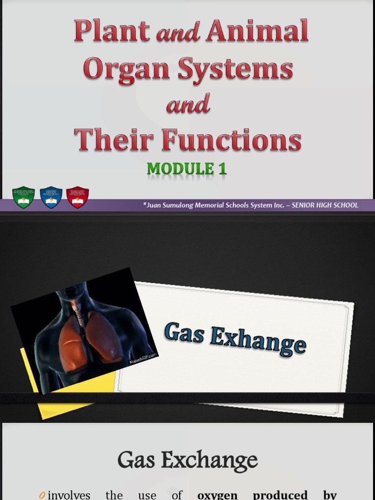 Module 1 Plant and Animal Organ Systems and Their Functions Part 2 PDF ...