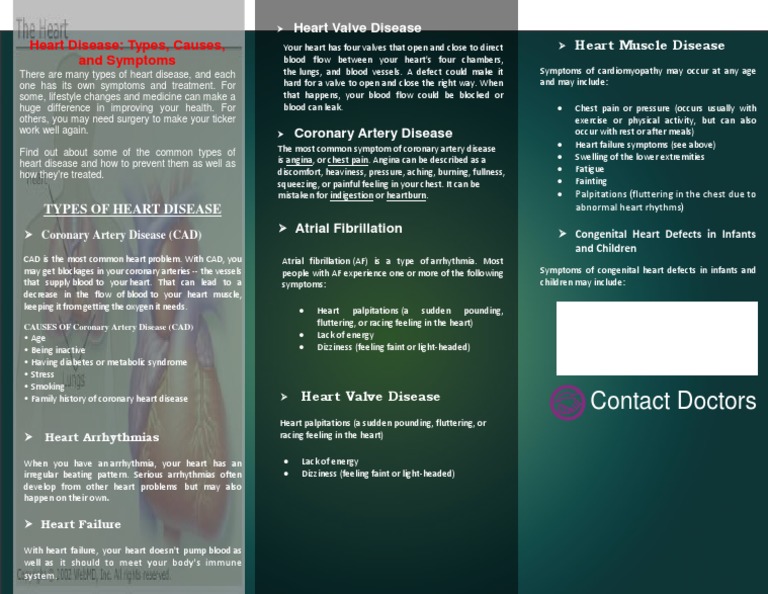 Word Brochure Template 7 Inside | PDF | Coronary Artery Disease | Heart