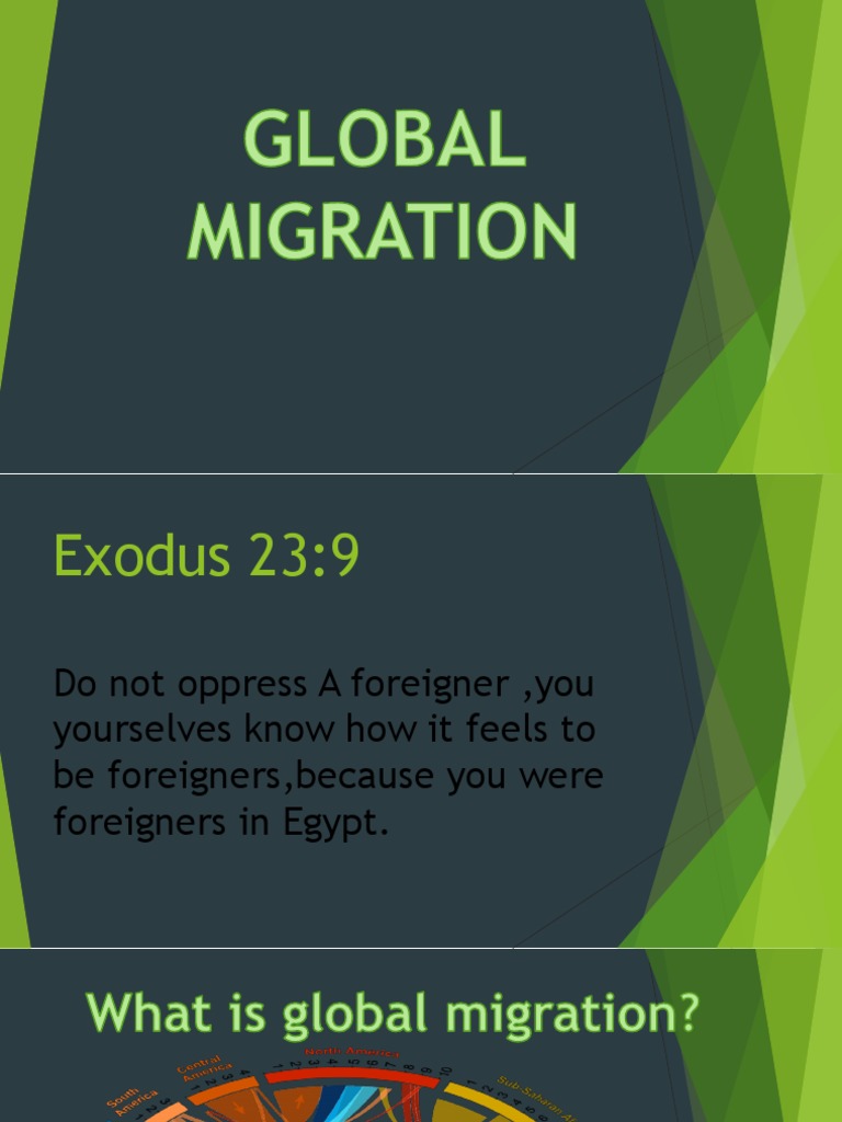 Understanding Global Migration Dynamics | PDF