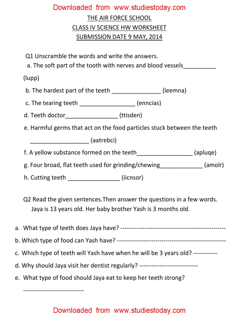 CBSE Class 4 Science Worksheet - Teeth PDF | PDF