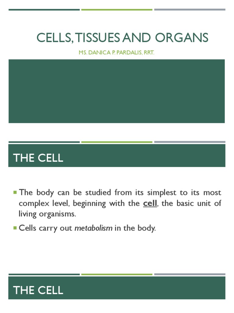 2.1. Cells Tissues Organs PDF | PDF | Mitosis | Cell (Biology)