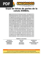 Sopa de Letras de La Fotosíntesis - 76 | PDF