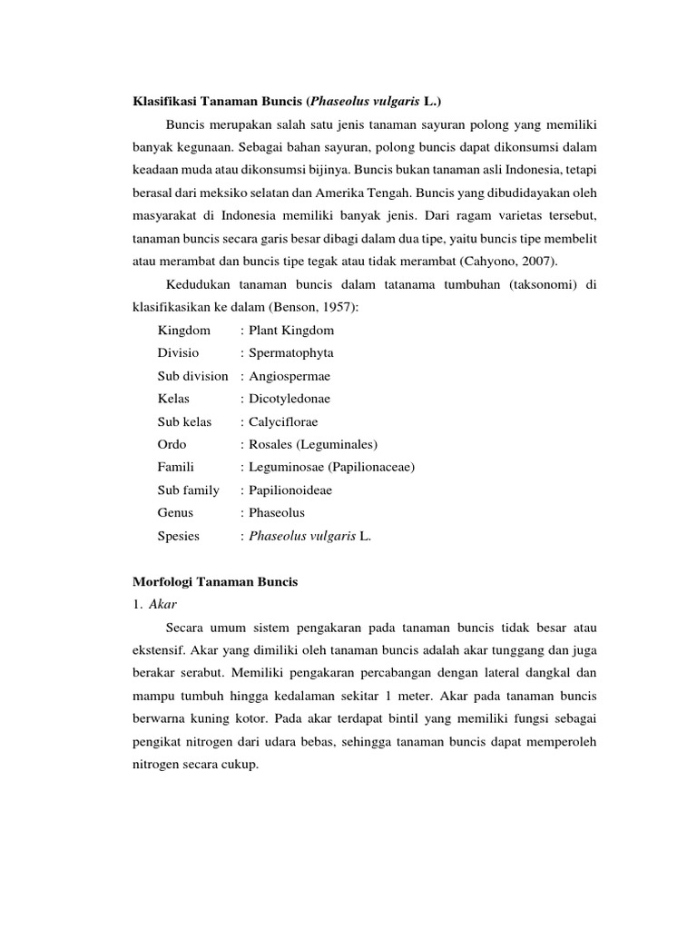 Klasifikasi Dan Morfologi Tanaman Buncis | PDF