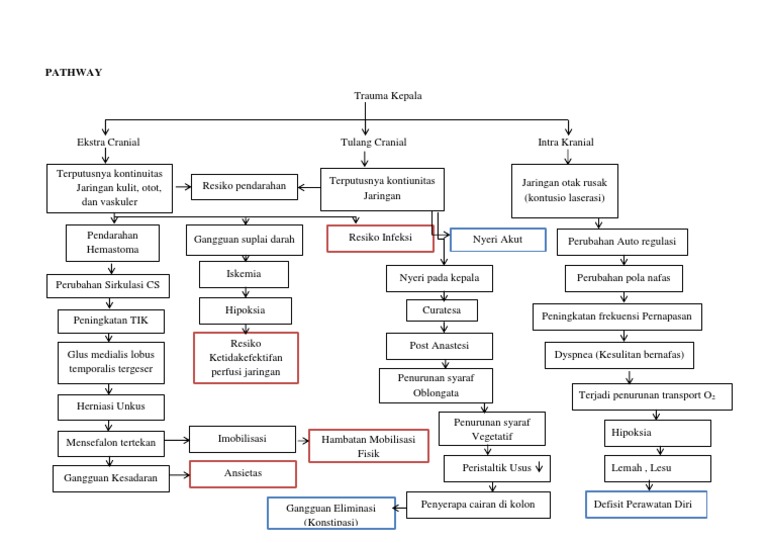 PATHWAY T.Brain Injury | PDF