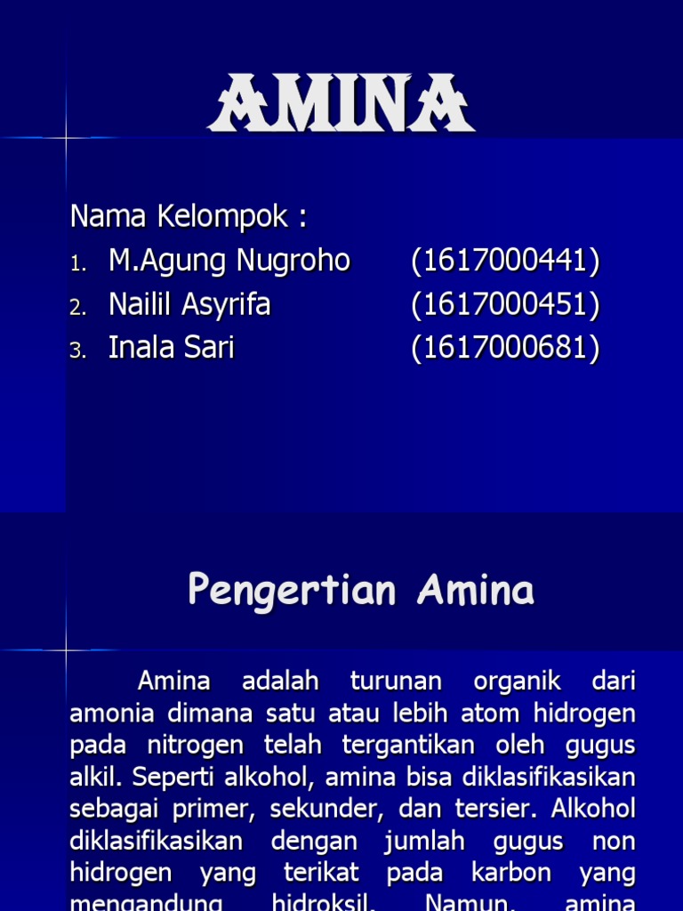 Amina | PDF