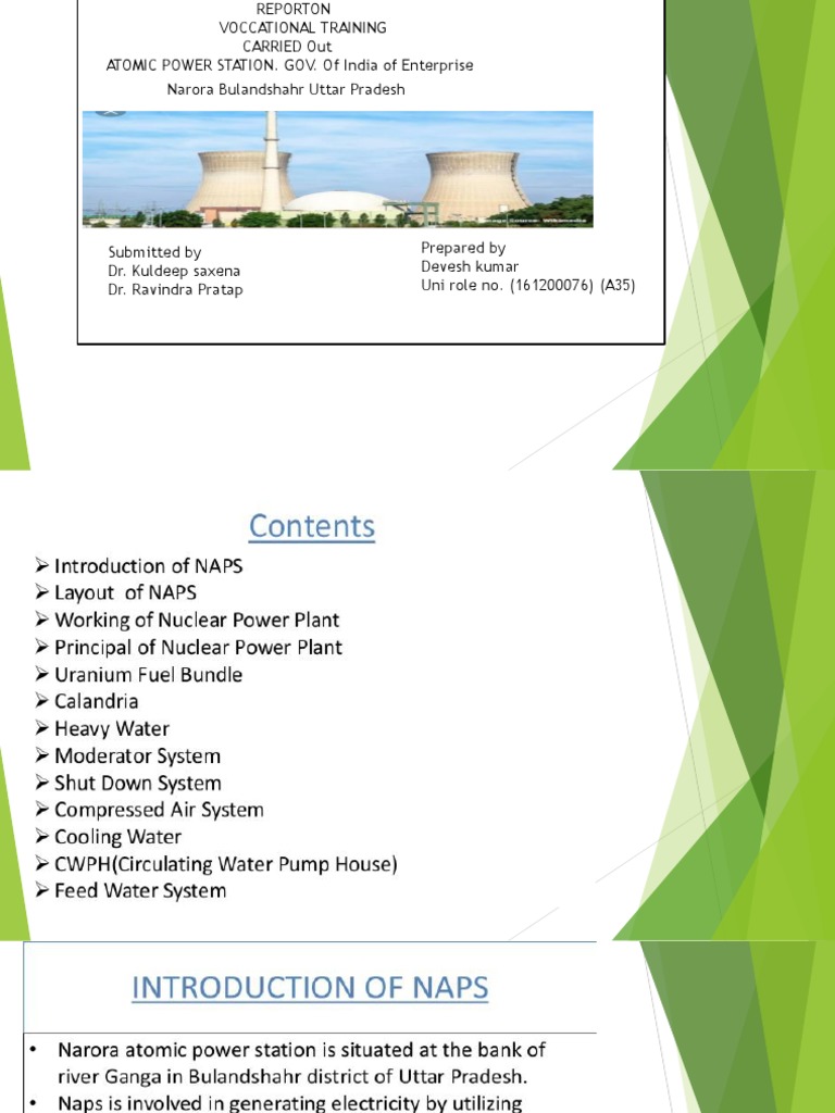 Nuclear Power Plant Narora | PDF