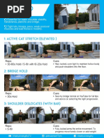 Stretch Strap Instructions | PDF | Anatomical Terms Of Motion | Arm