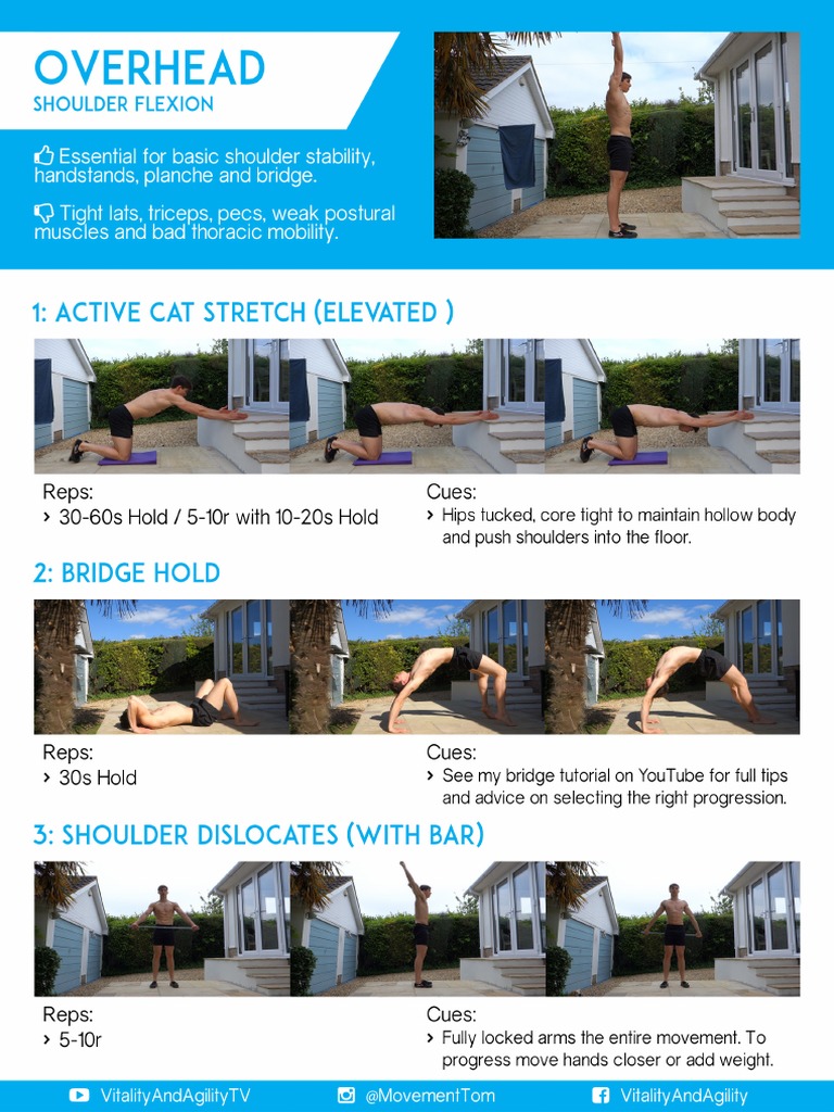Mobility Training | PDF