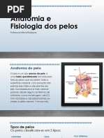 Anatomia e Fisiologia do Pelo | PDF | Pele | Cabelo