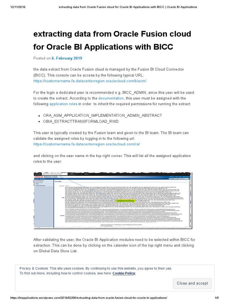Oracle BICC | PDF | Http Cookie | Internet Privacy
