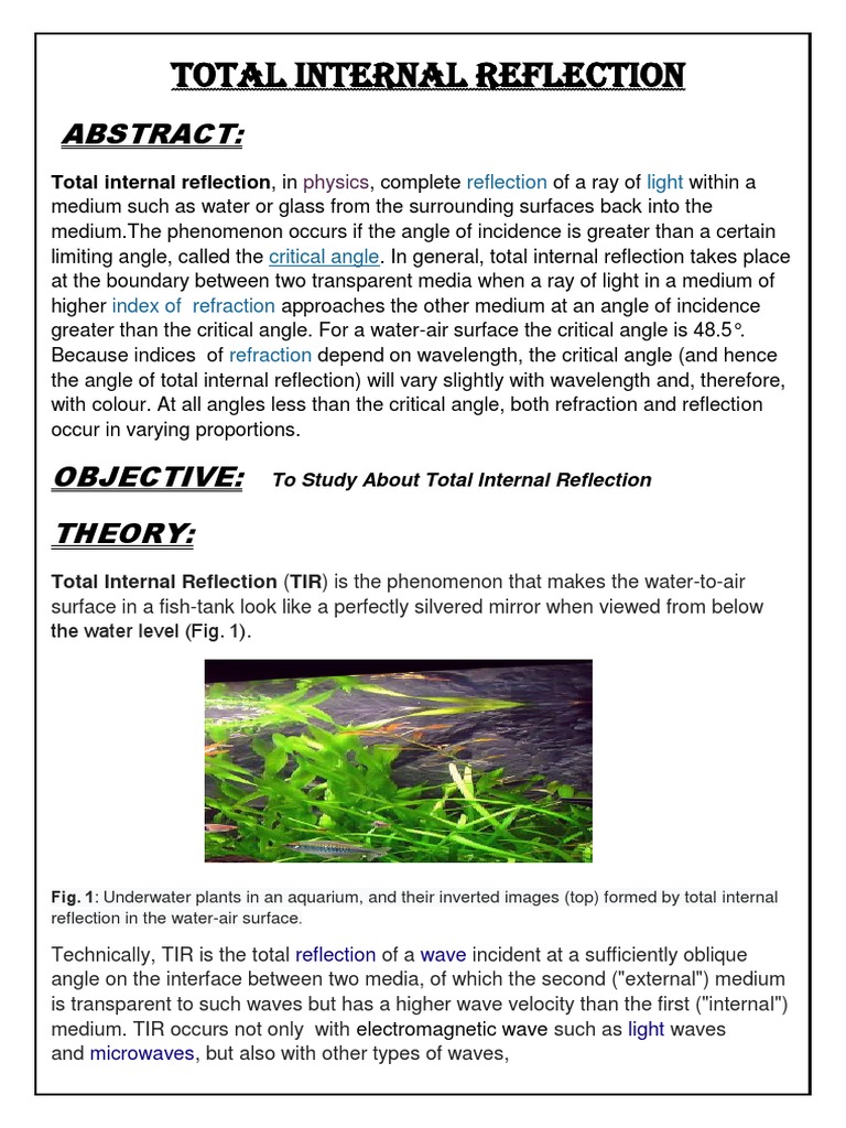 Total Internal Reflection | PDF | Refraction | Reflection (Physics)