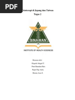 Sejarah Fisioterapi Indonesia | PDF