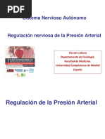 Reflejos Bainbridge 1 | PDF | Corazón | Nervio vago