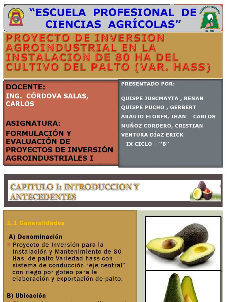 Proyecto Del Cultivo de Palto | PDF | Aguacate | Plantas
