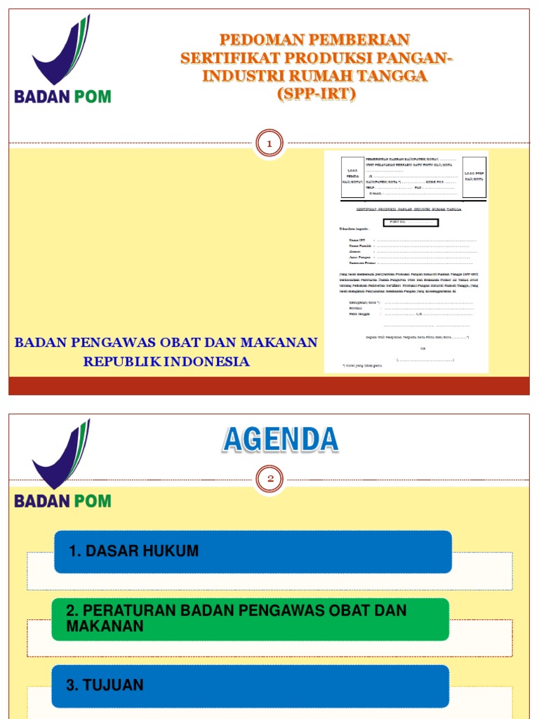 Pedoman Pemberian Spp-Irt | PDF