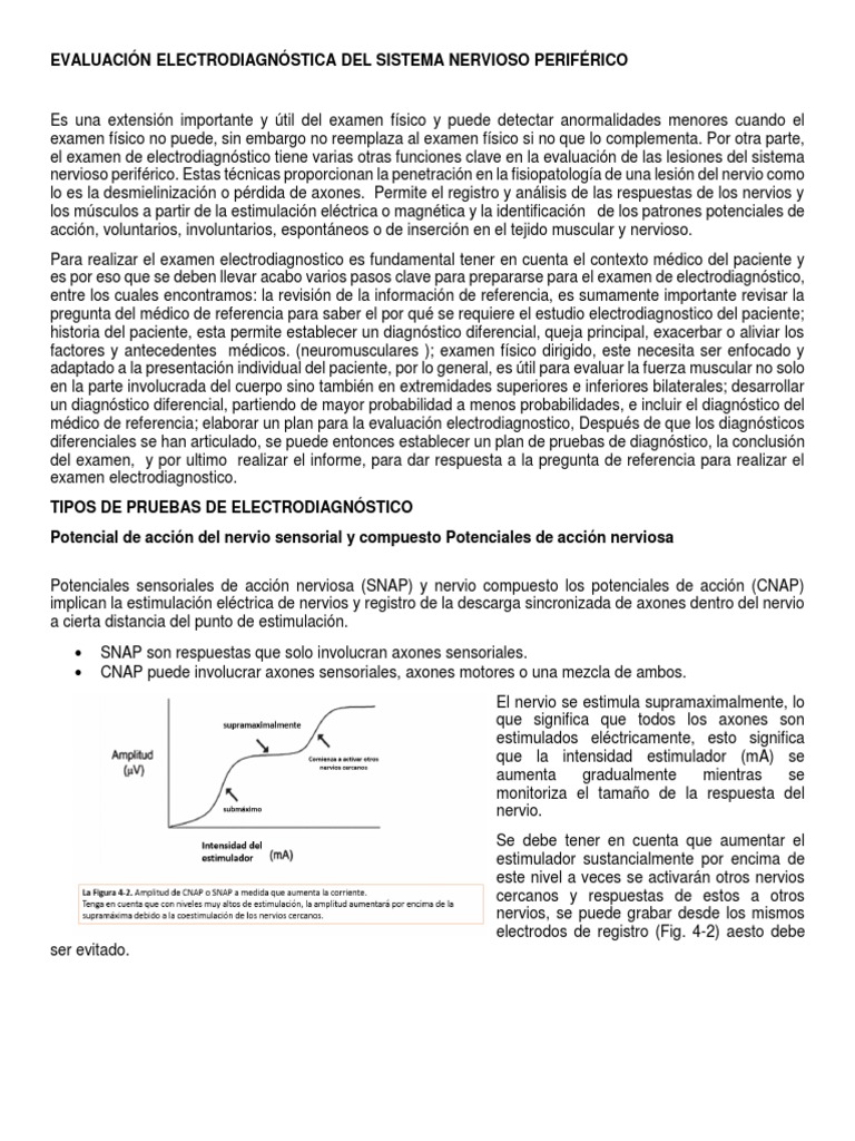 ELECTROMIOGRAFIA | PDF | Sinapsis | Nervio