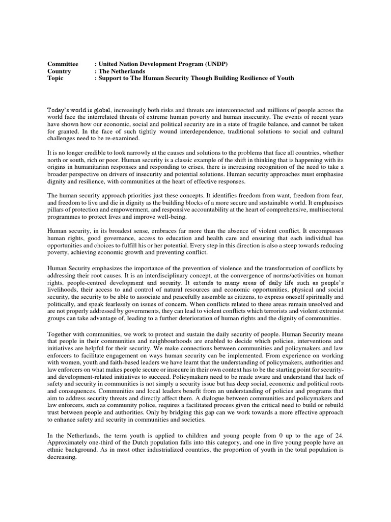 Position Paper UNDP | PDF | Human Security | Security