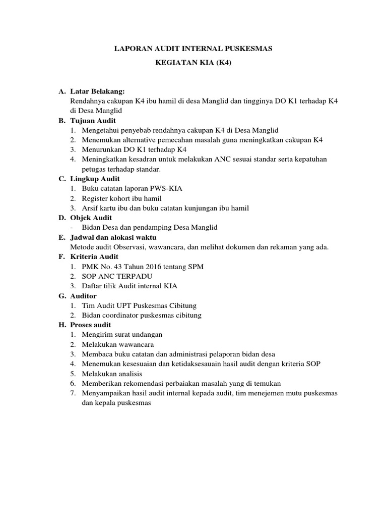 Laporan Audit Internal Puskesmas | PDF