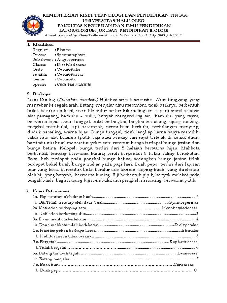 Klasifikasi dan Morfologi Labu Kuning | PDF | Griya & Taman | Kesehatan ...