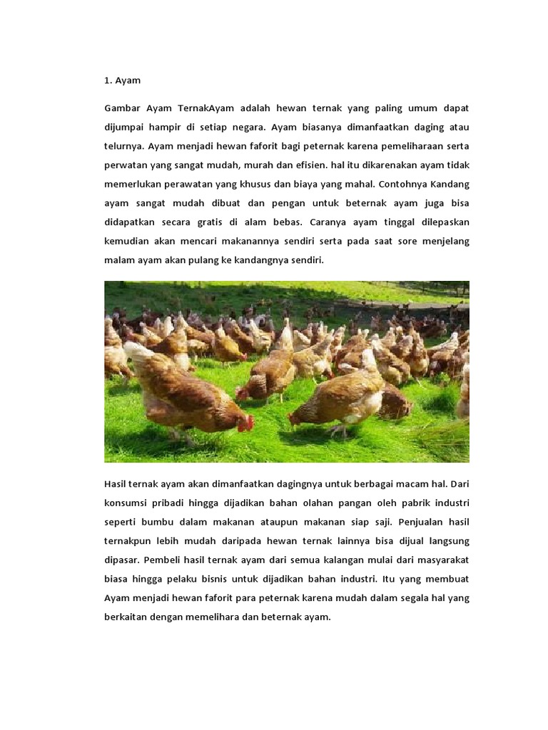 Budidaya Hewan Ternak | PDF