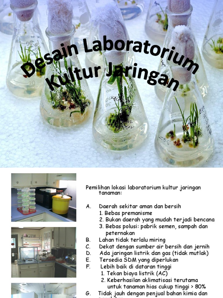 Desain Kultur Jaringan | PDF