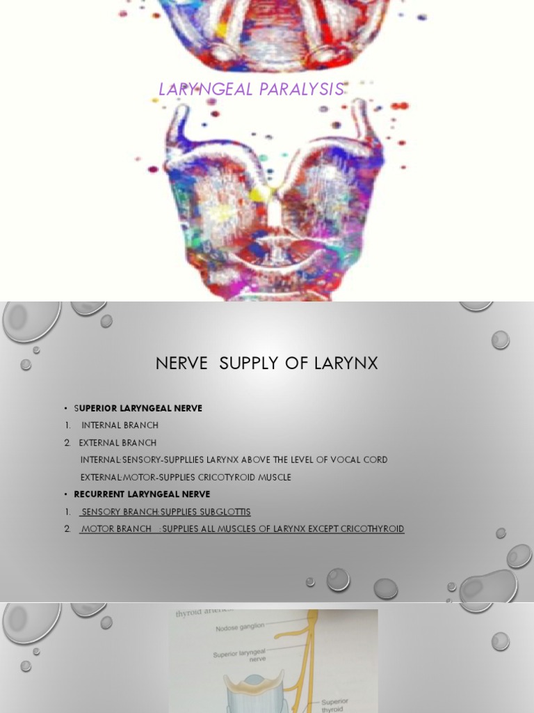 Laryngeal Paralysis ppt-1 | PDF | Larynx | Human Anatomy